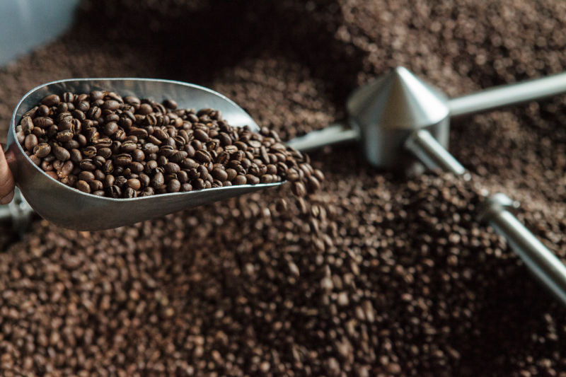 100% Kona Premium Coffee 16oz – Mountain Thunder Coffee